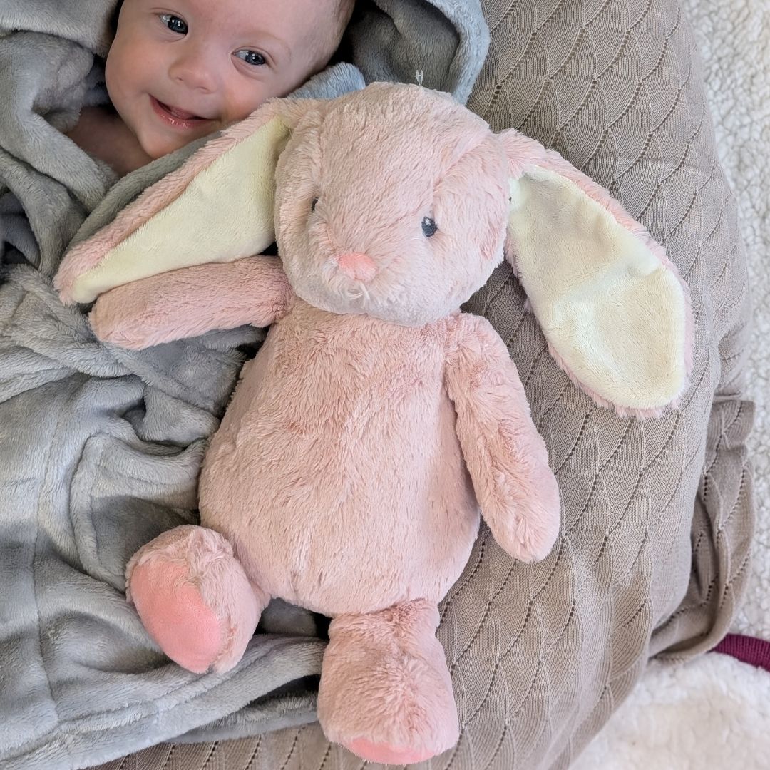 Soft Toys - Cuddly Toys - Stuffed Animals - Bumbles & Boo