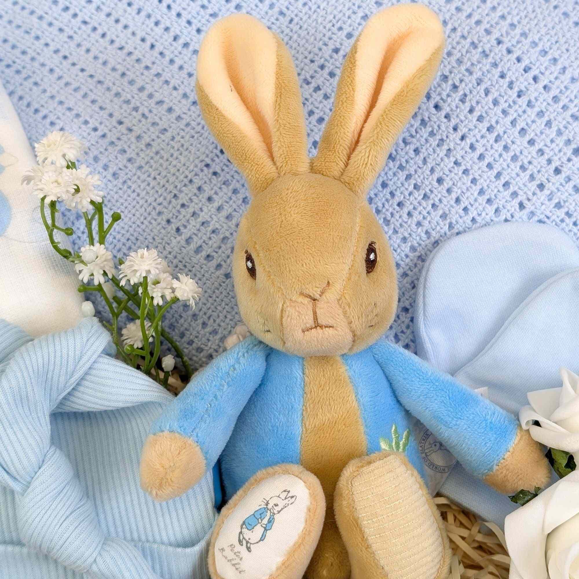 Peter Rabbit Baby Gifts Box - New Baby Gifts - Bumbles and Boo ...